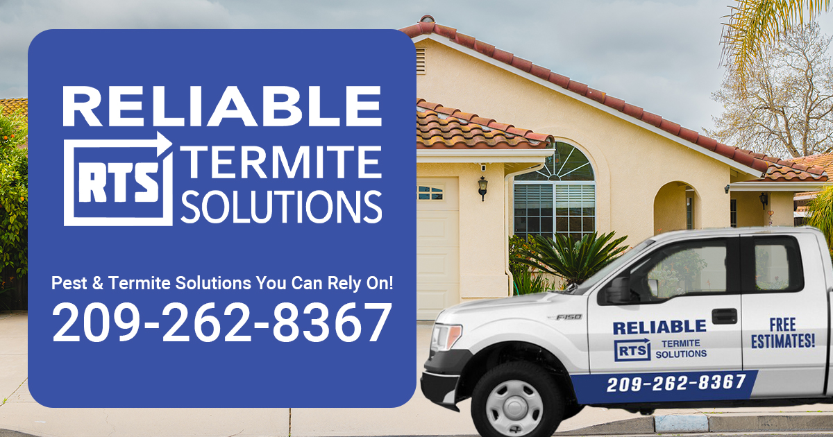 Reliable Pest Control Near Me | Turlock Exterminator