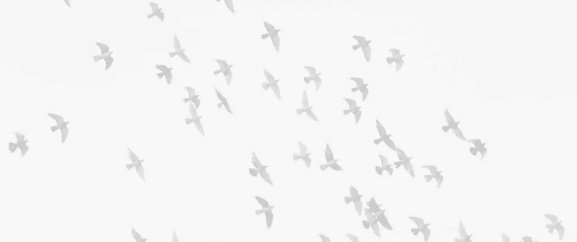 Criterion Institute Podcast: Finance & Social Change