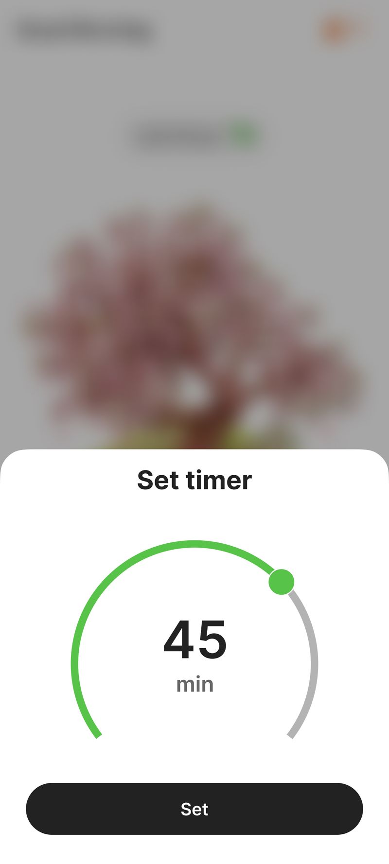 Focus Tree - Study Timer & Flashcards