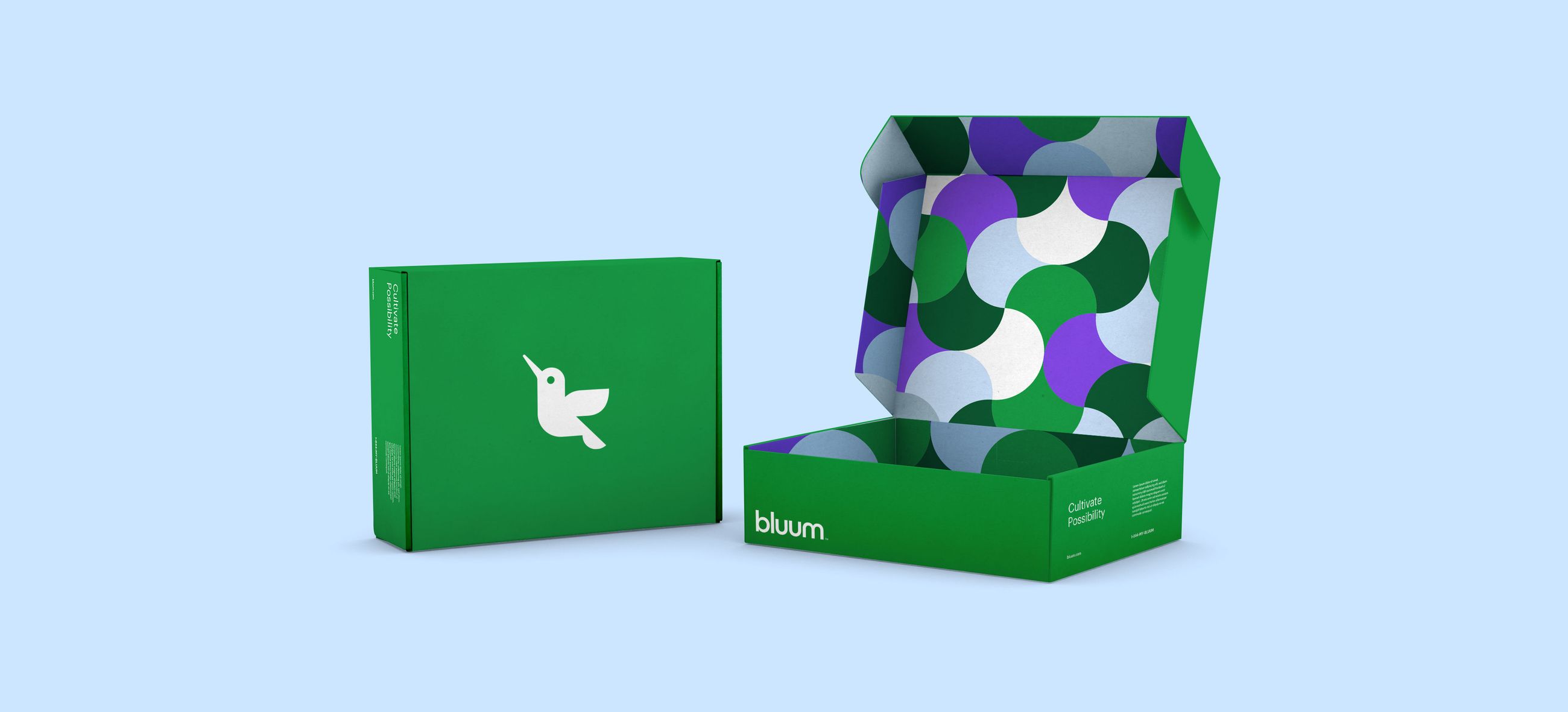 Zanda | Power Diary Gets a Rebrand