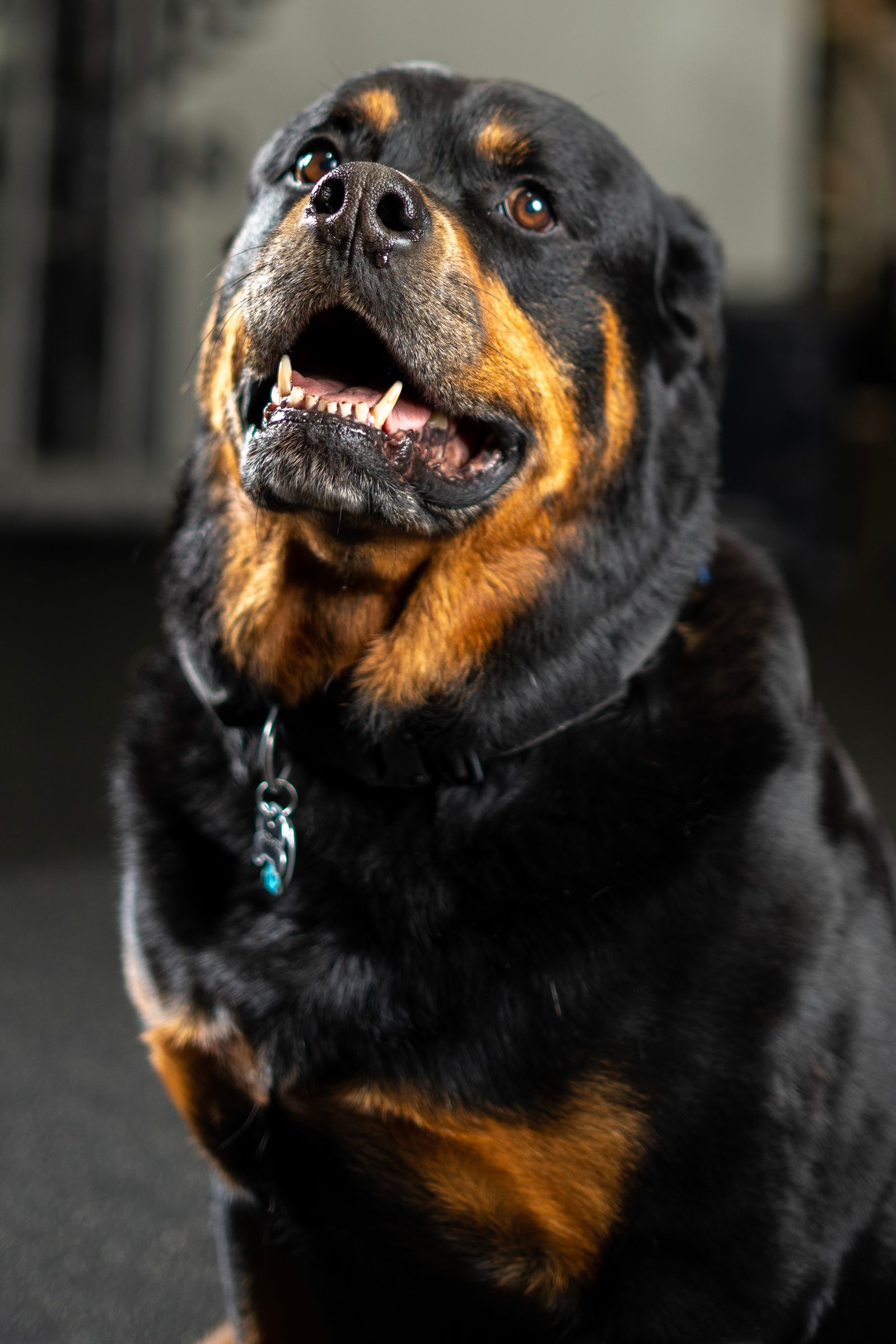 Case Specific Nutrition® | Personalized Nutrition & Lifestyle Services