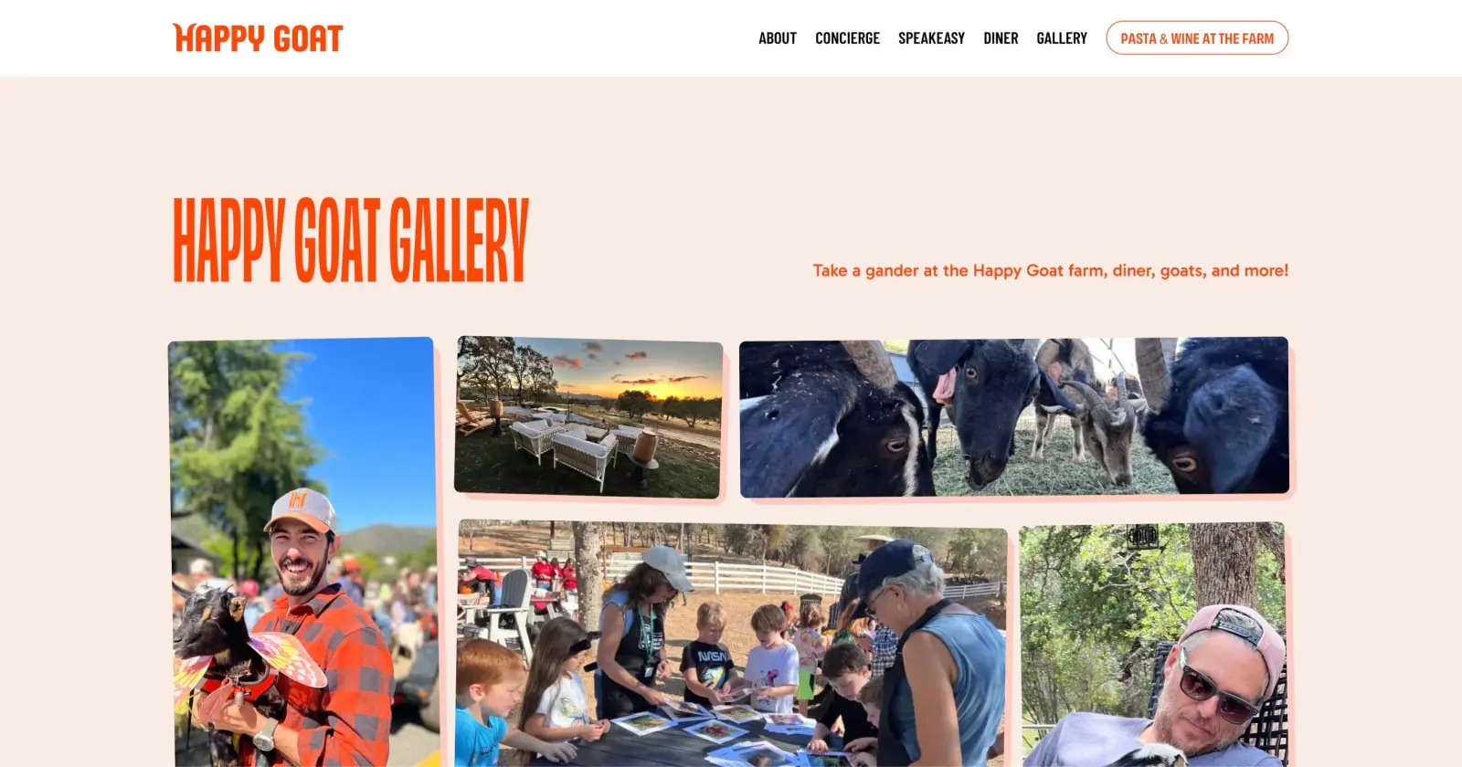 Gallery | Happy Goat