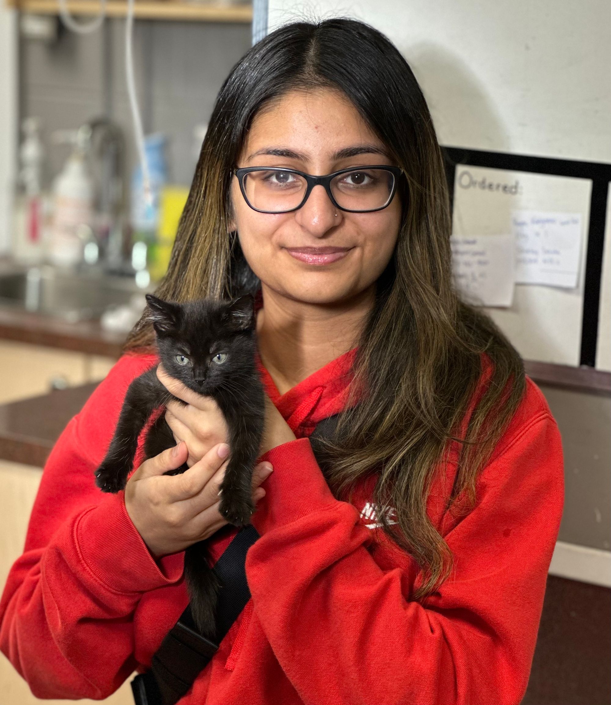 Clearbrook Animal Hospital - Top Veterinary Care in Abbotsford, BC