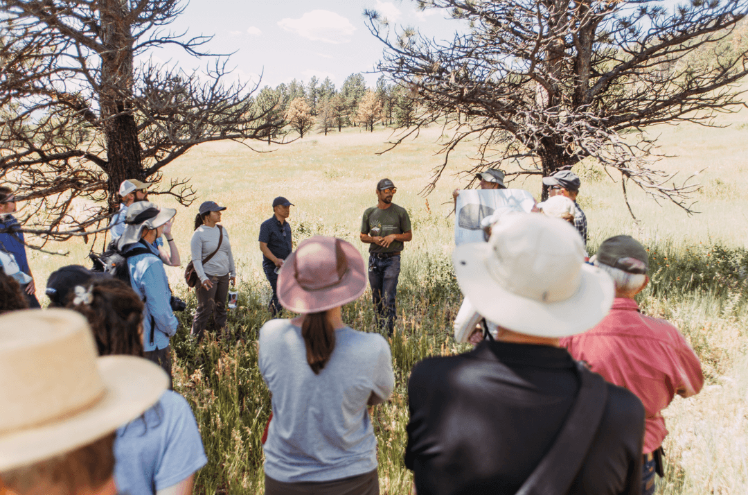 DAR | Drylands Agroecology Research