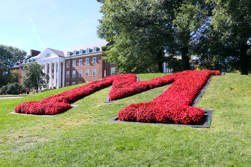 Master of Professional Studies in Product Management