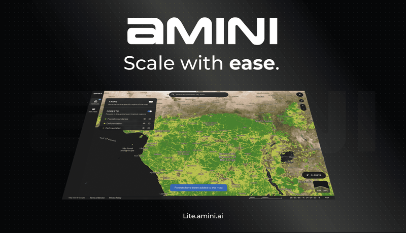 Data Backbone for the Global South — Amini