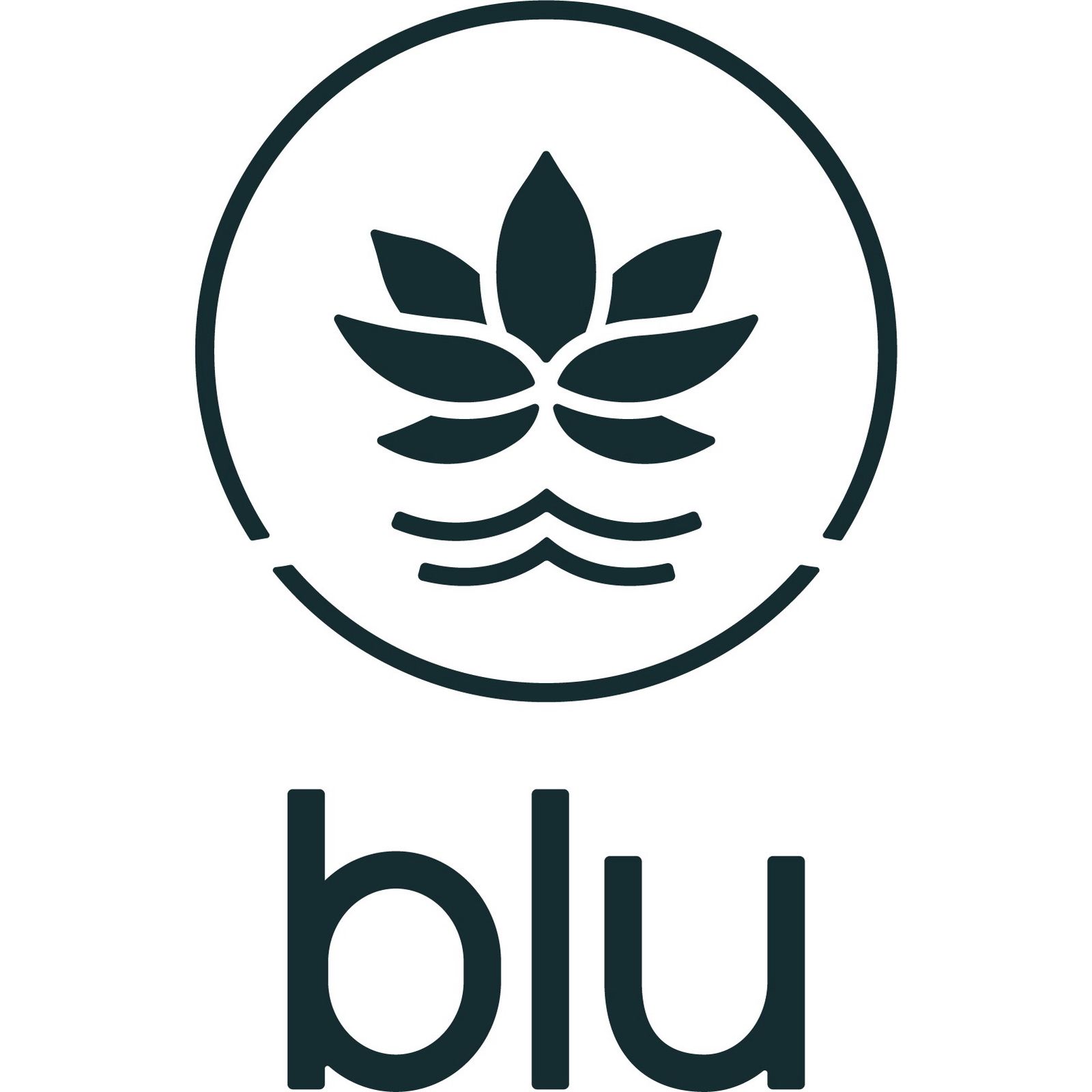 About Blu Medspa and Salon