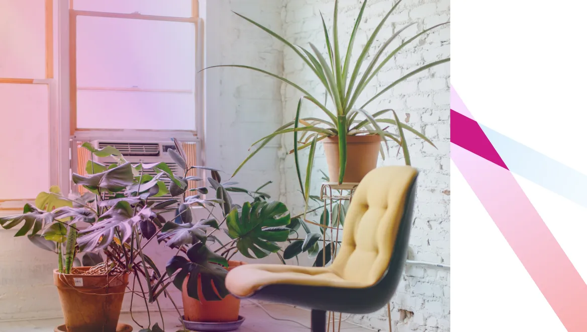 17 Best Multilingual Web Fonts to Use on Your Website in 2024