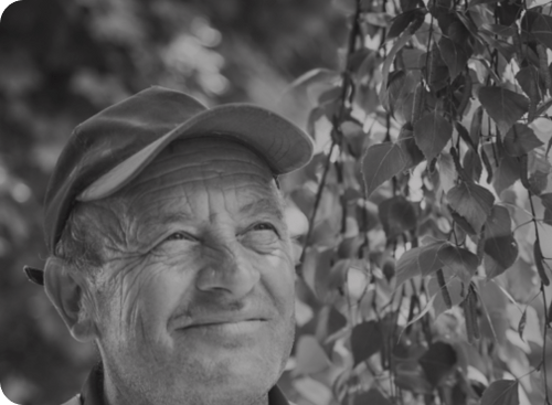 RWW Group: Work Uniform Wholesaler Supplier Australia