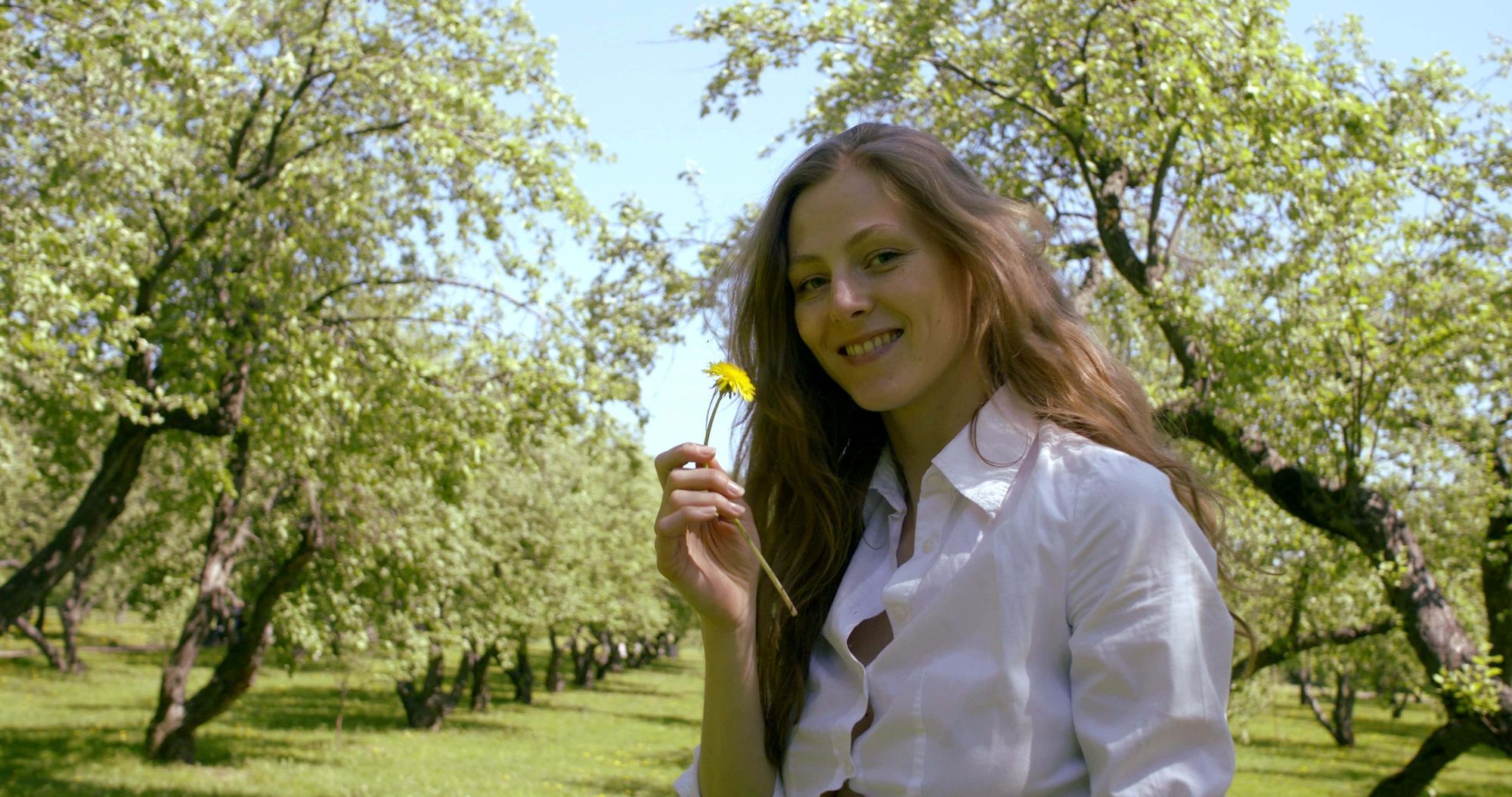 Photo Color Editor: Change The Color Of An Image | Skylum