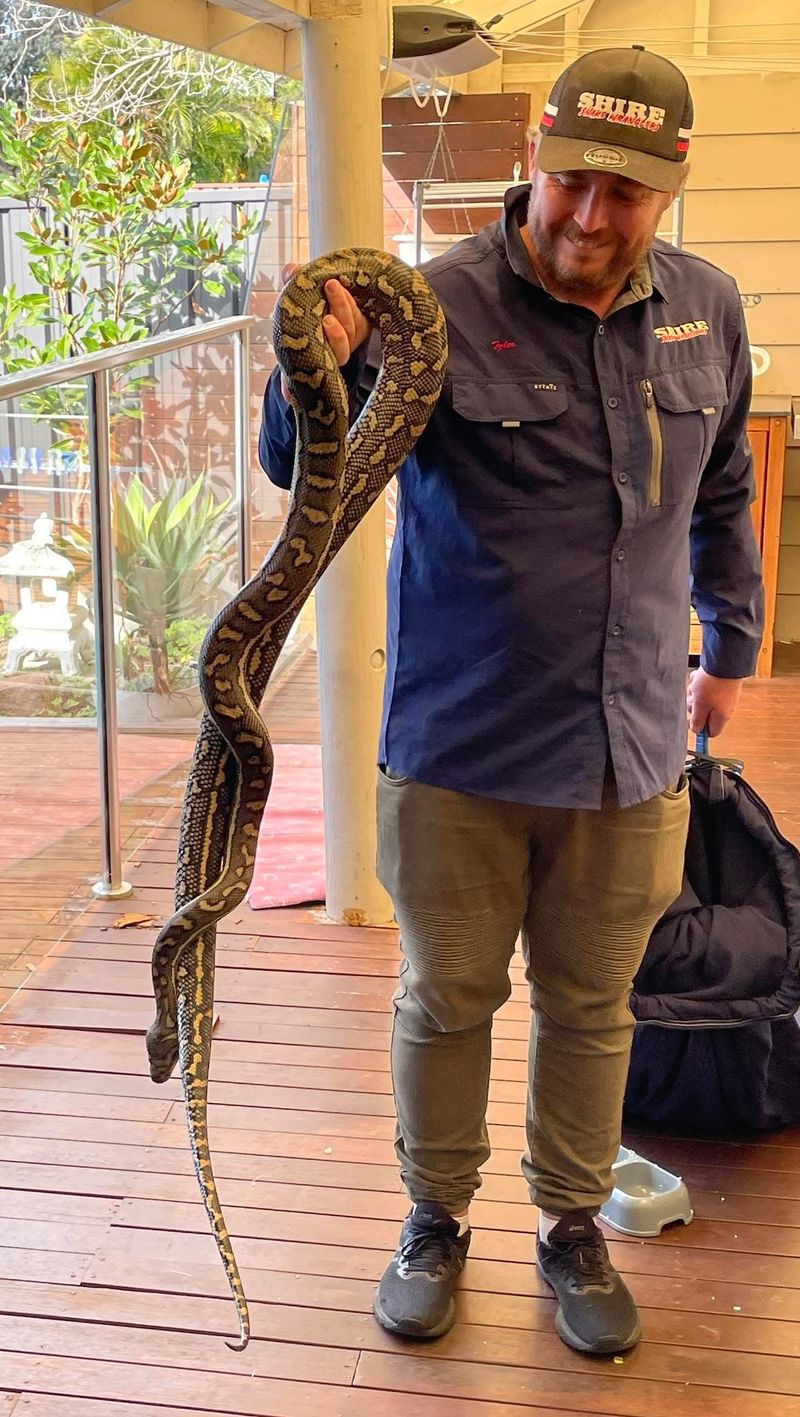 What to Do If You See a Snake