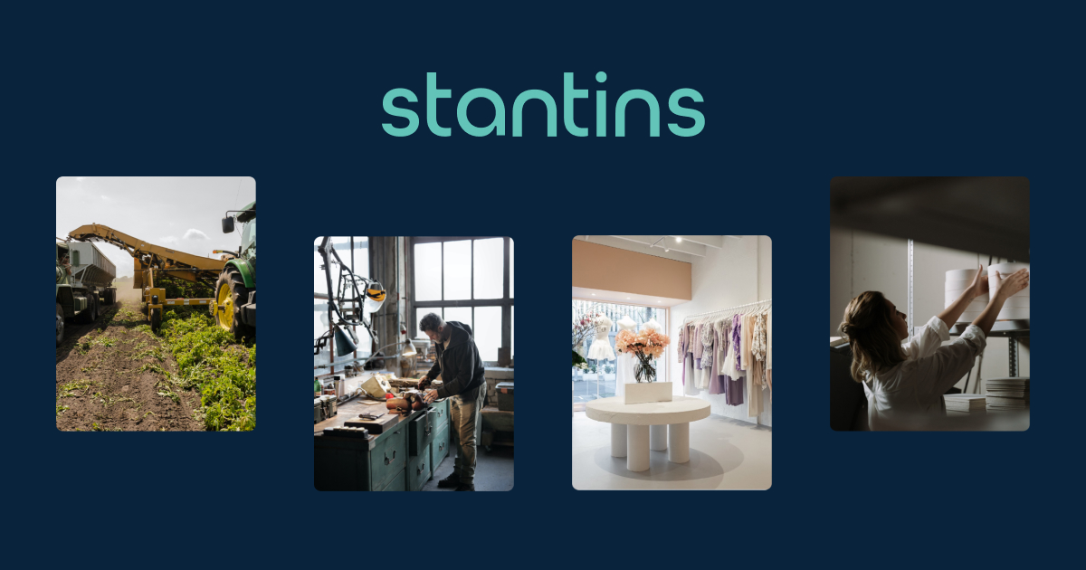 Stantins: Expert Financial Advisory Services