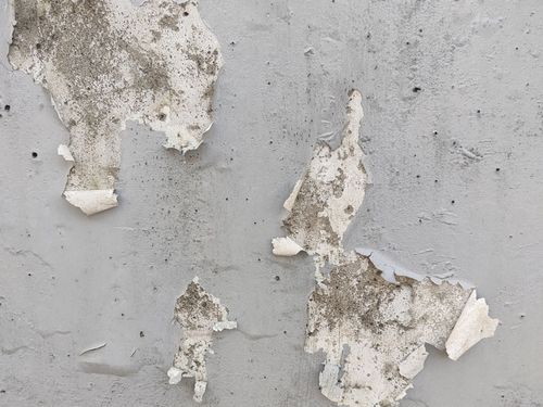 Asbestos in Walls | EMS
