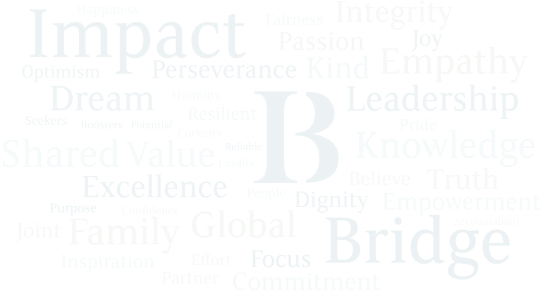 Impact Bridge: Solving global problems through impact investing