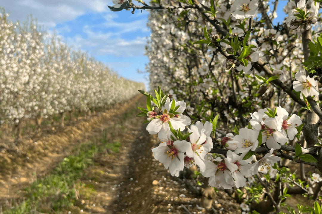 xFarm - La solution pour la gestion des exploitations agricoles!