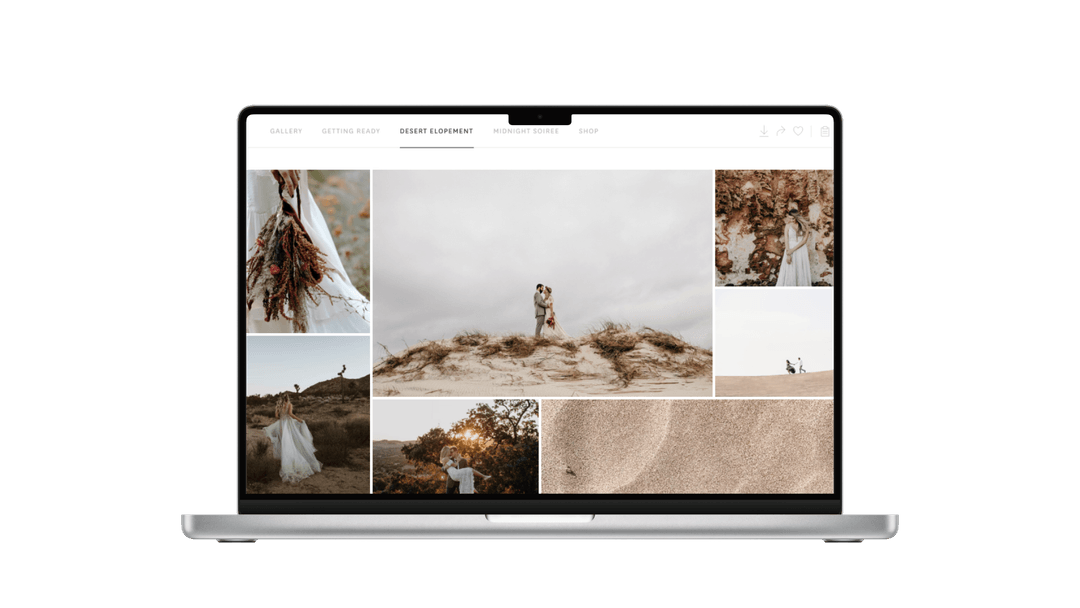 More Than a Gallery Sharing Platform | Pass Gallery