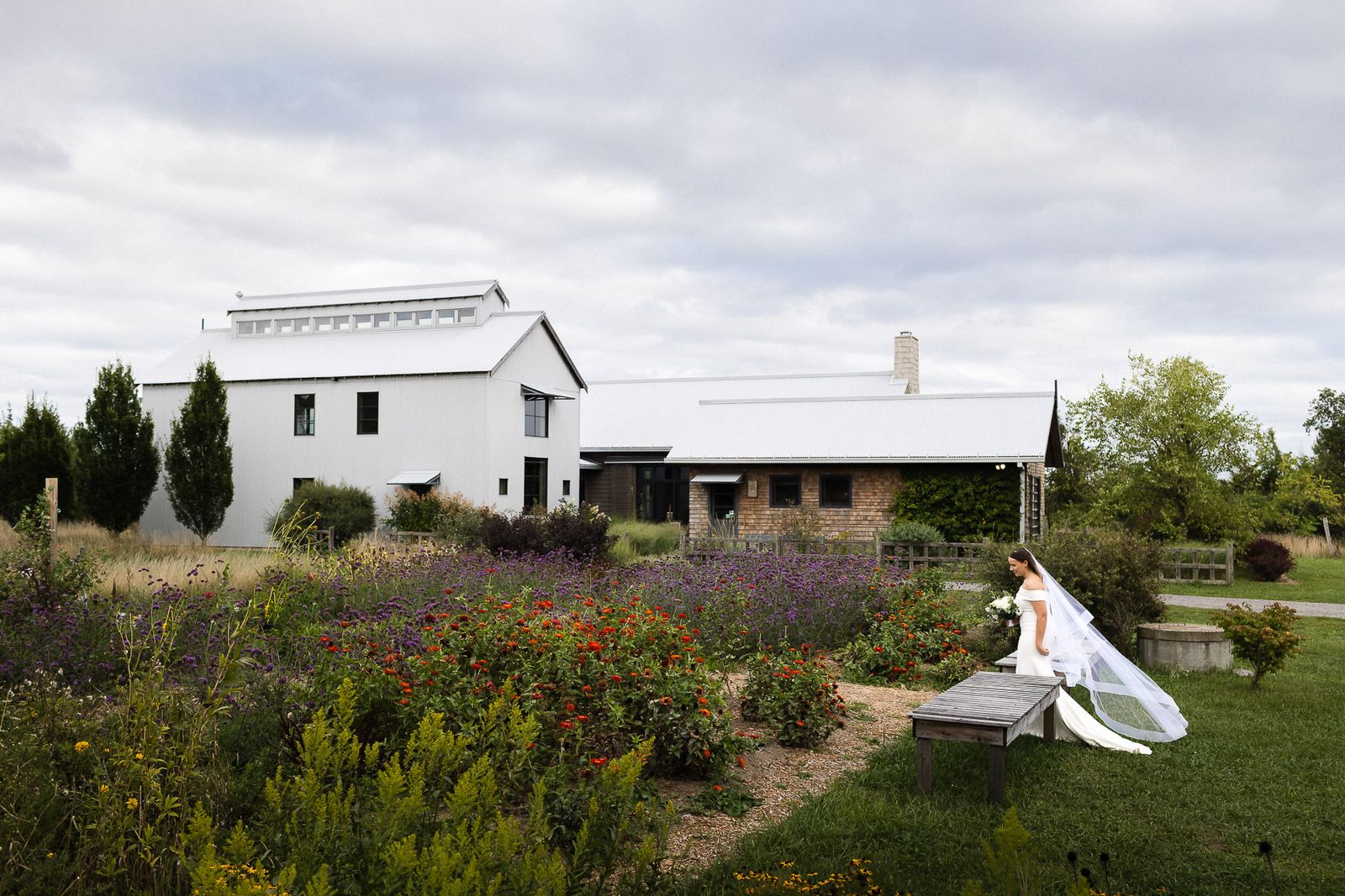 Compass Rose Suites Wedding Guide | Prince Edward County | ALECIA PATRICK