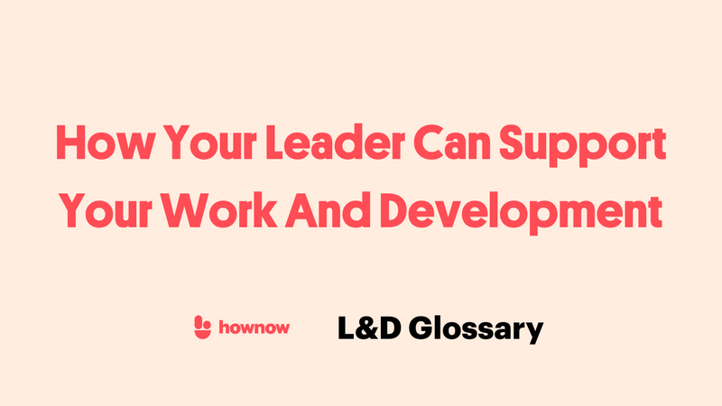 How Your Leader Can Support Your Work and Development