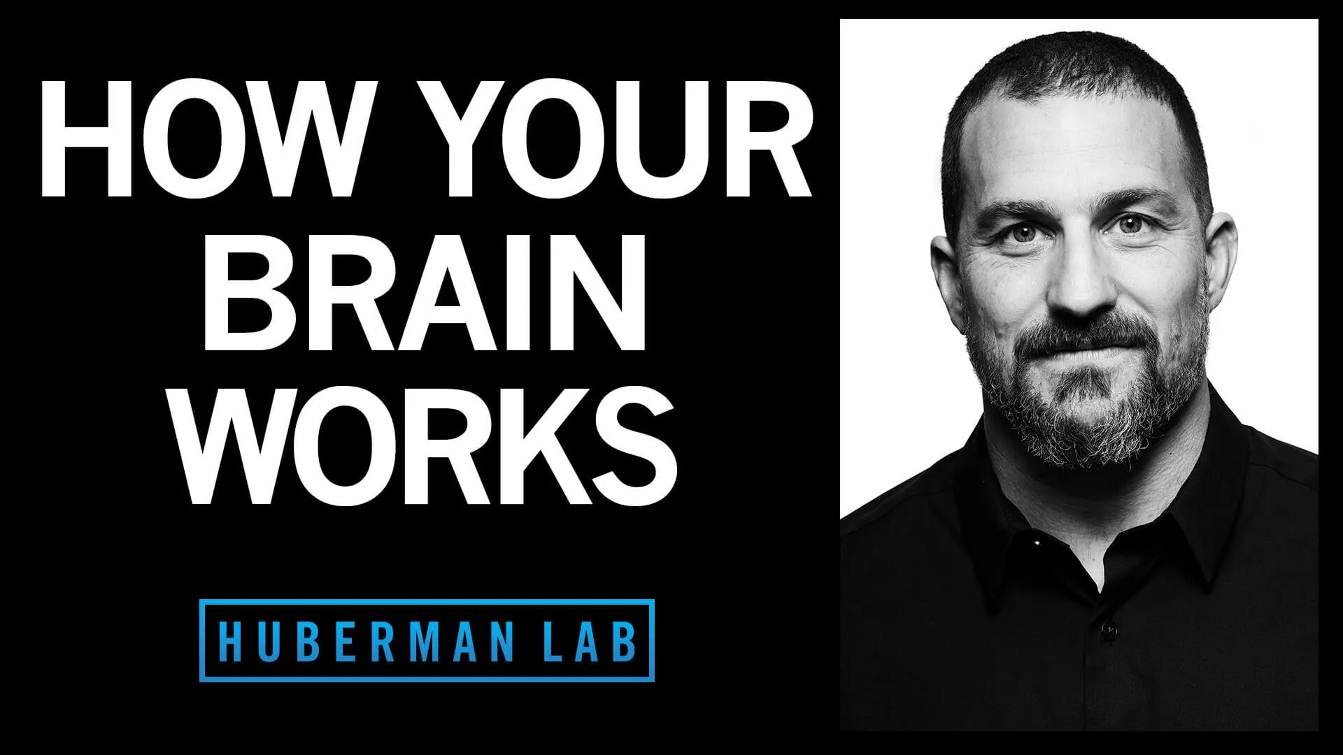 How Your Brain Works & Changes - Huberman Lab