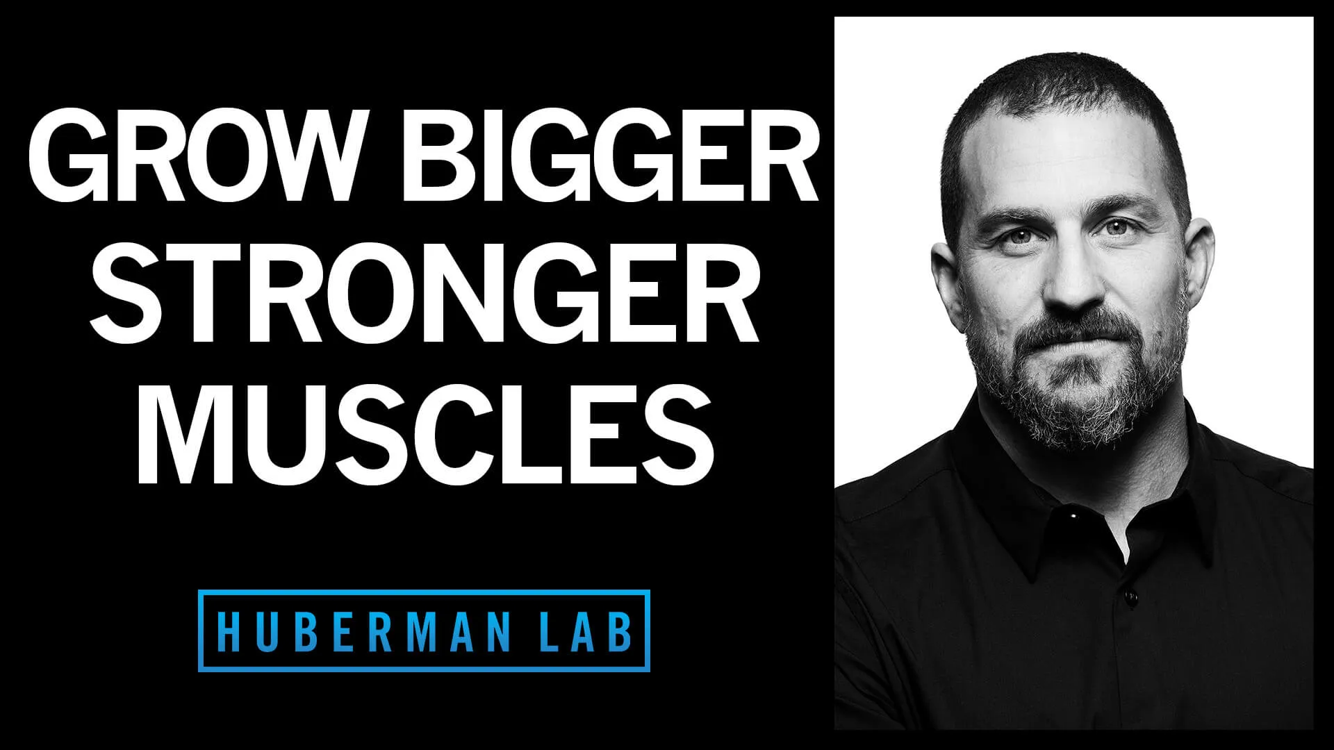 Science of Muscle Growth, Increasing Strength & Muscular Recovery ...