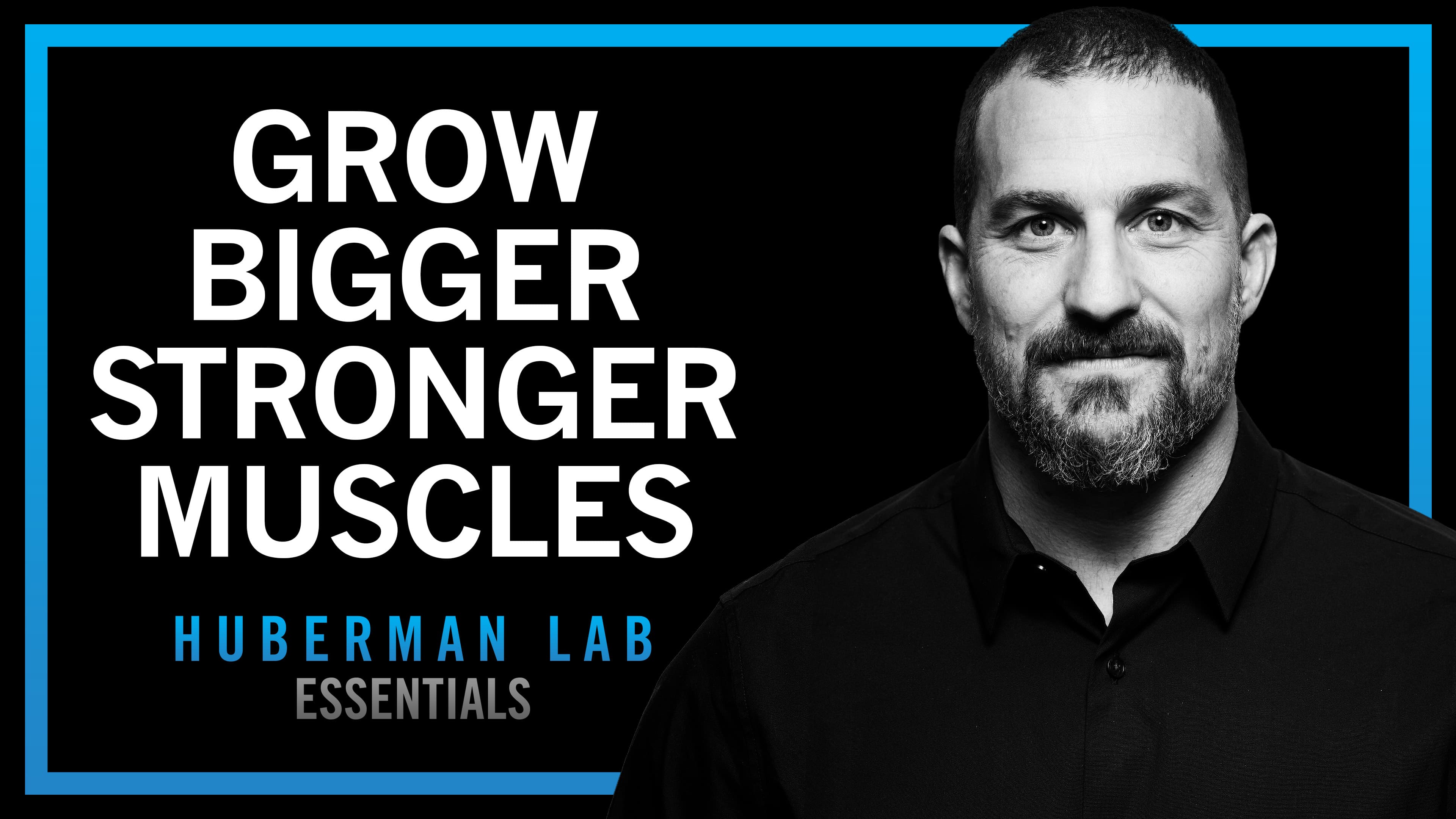 Essentials: Build Muscle Size, Increase Strength & Improve Recovery ...