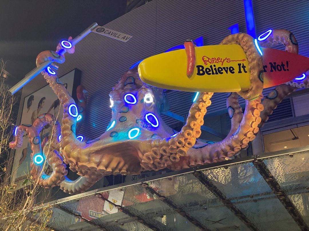 Pico Play | Attraction Design Company