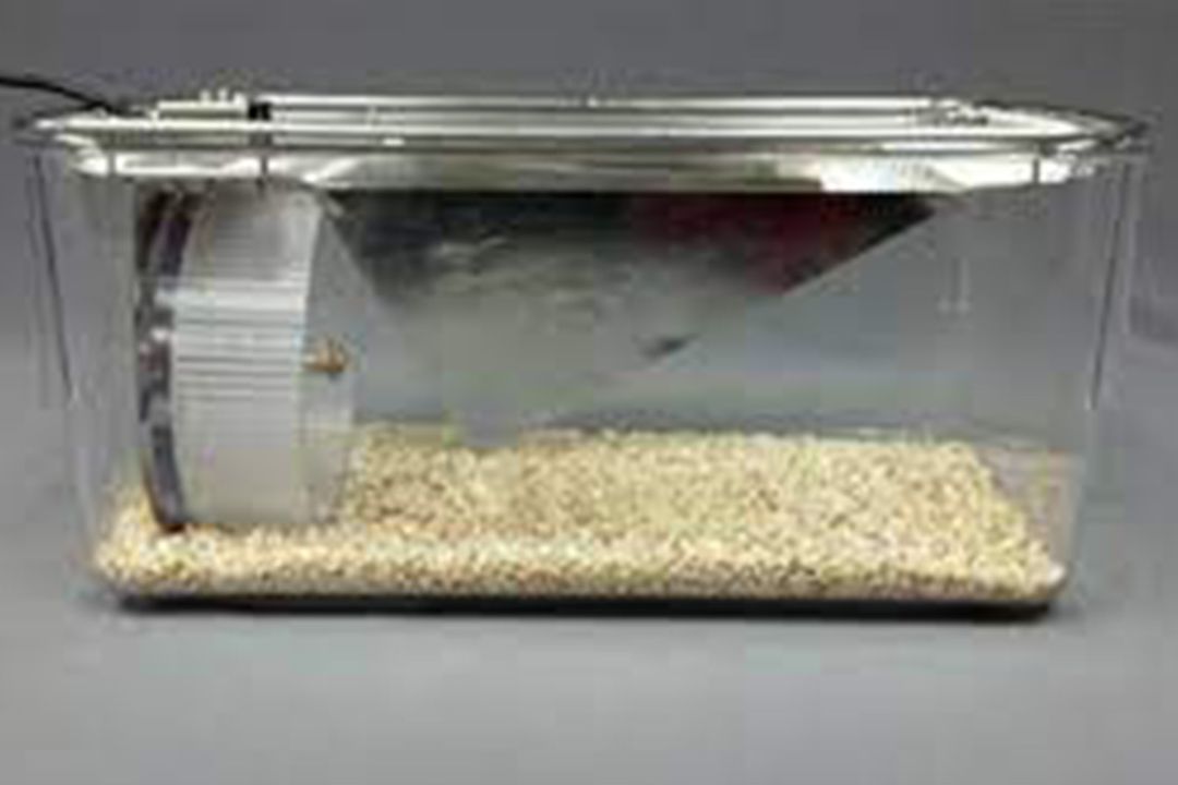 Running Wheels | Life Science Products | Columbus Instruments