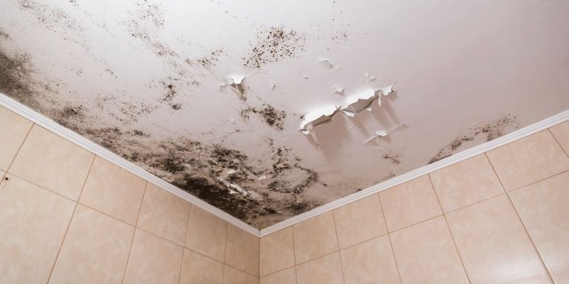 Mould on Ceiling: Causes, Prevention, and Effective Solutions | Cleanse ...