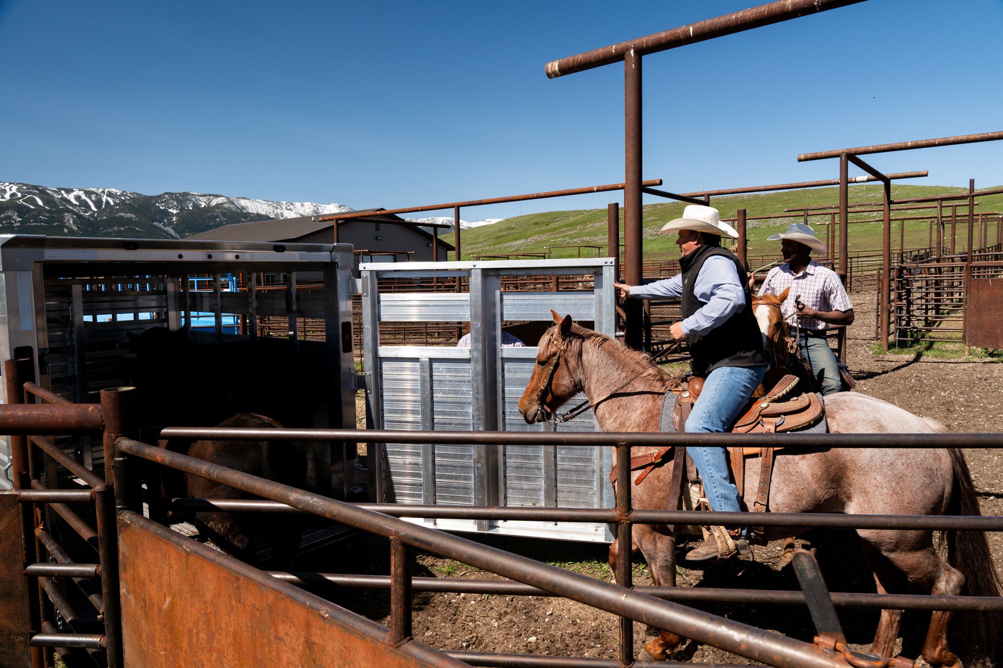 Eby Maverick Livestock Trailer