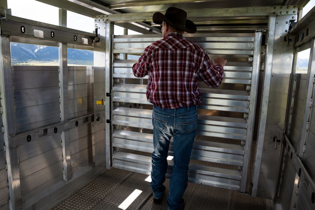 Eby Maverick Livestock Trailer
