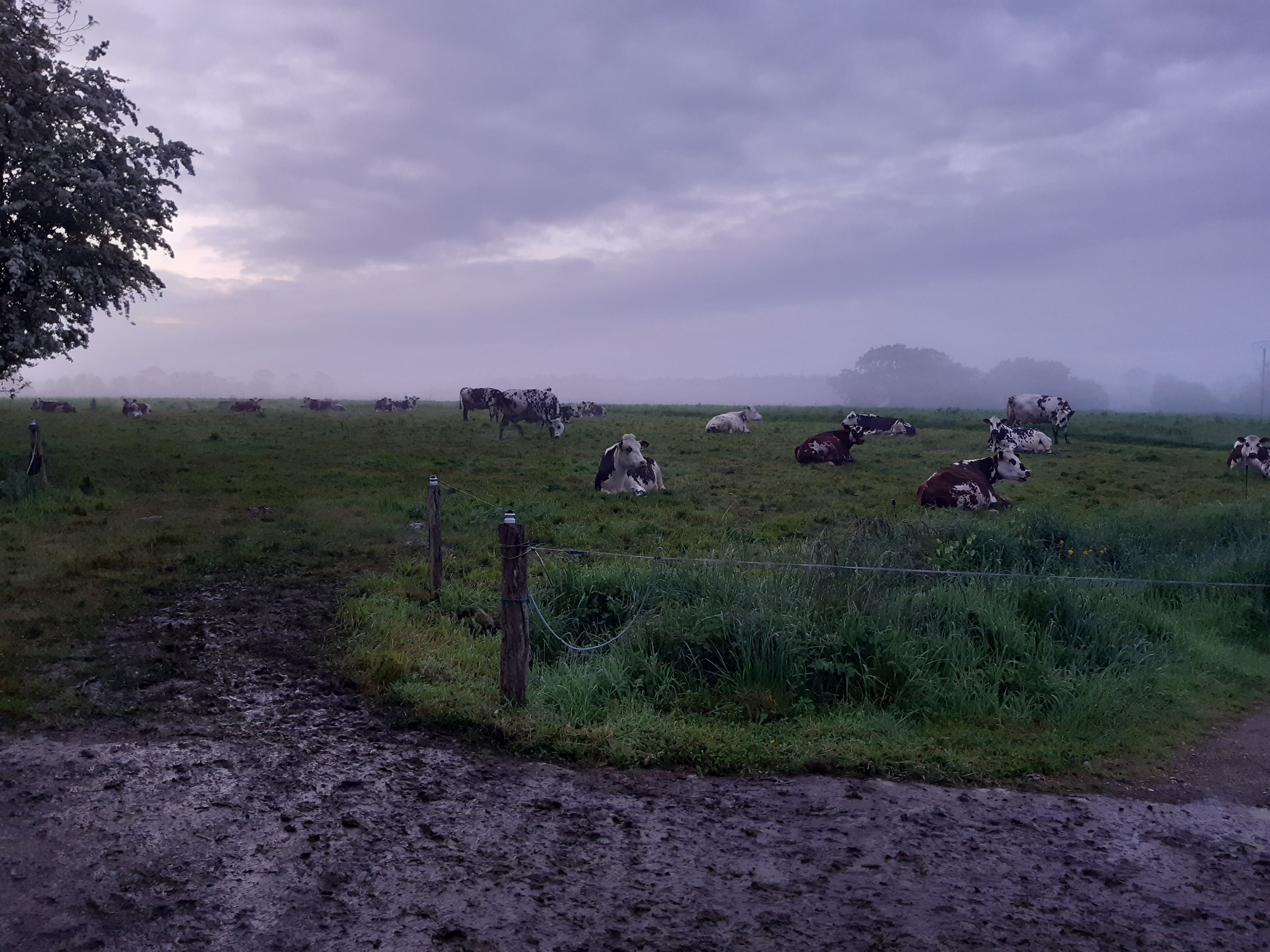 Créer un GAEC, quels avantages et quelles règles à respecter