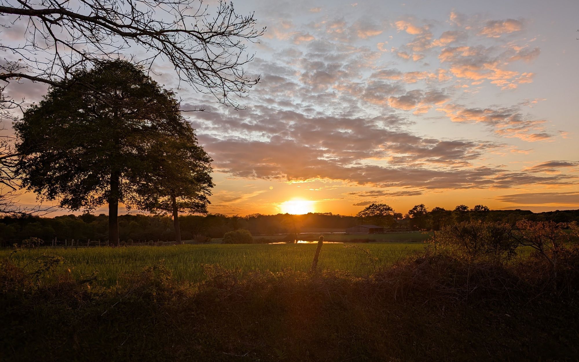 Le droit de préemption du preneur : vos droits en cas de vente des ...