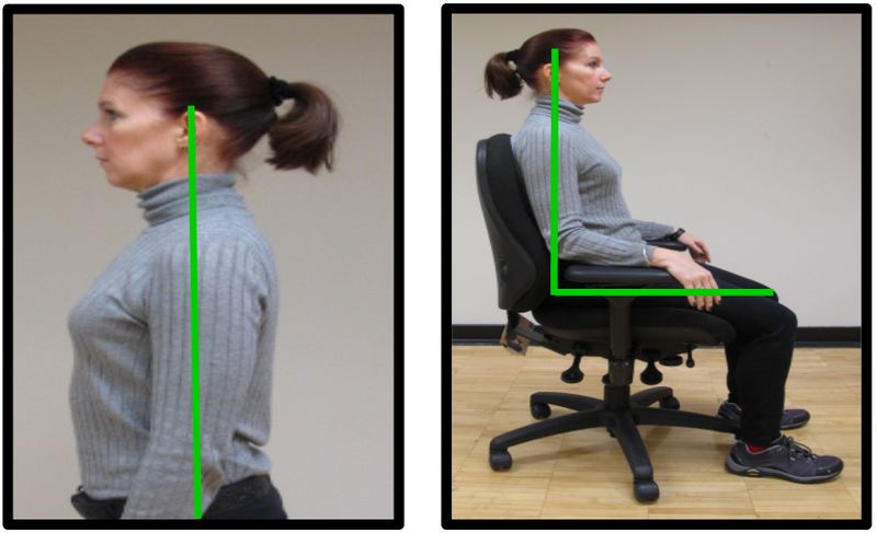 Chest - Stretching, Exercises, & Posture | Work-Fit