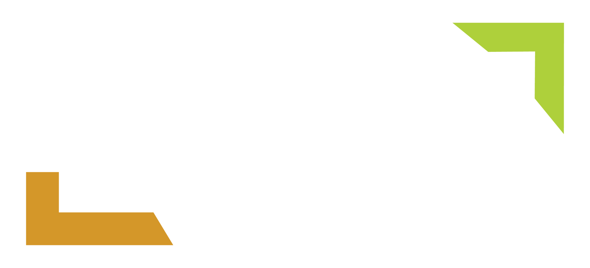 Kapur's Company History and Milestones
