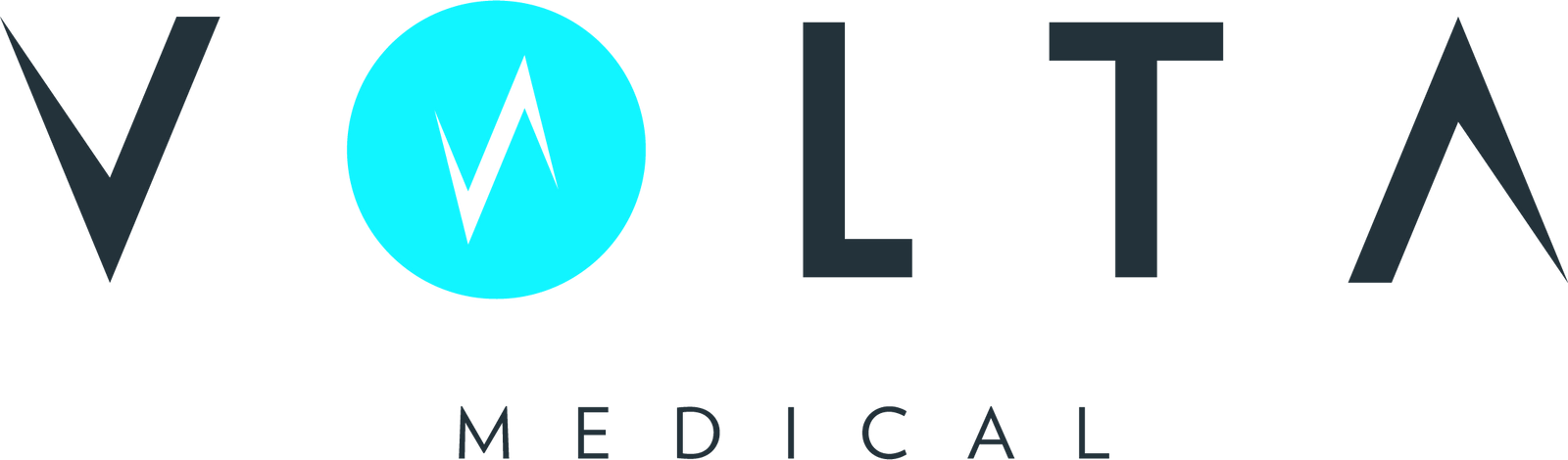 Volta Investors and Press