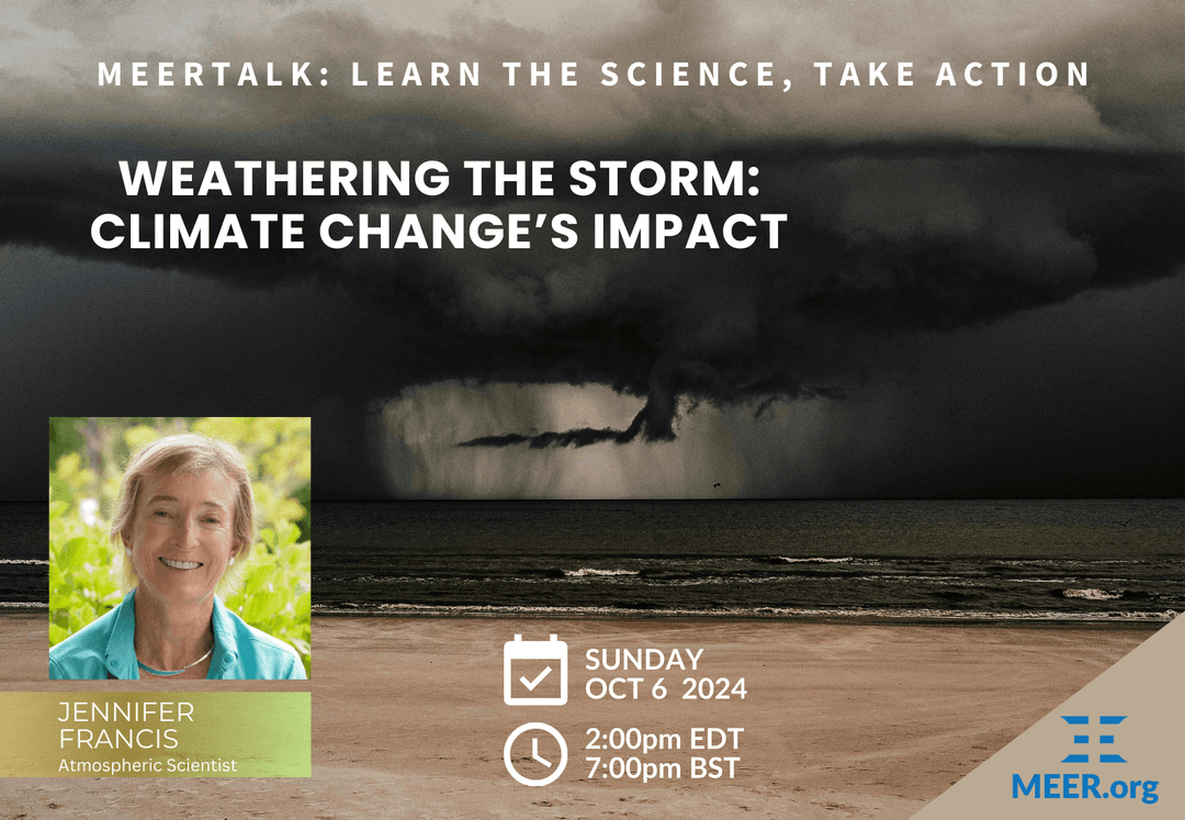 MEER - Restoring Earth's Energy Balance | Climate Change Solutions