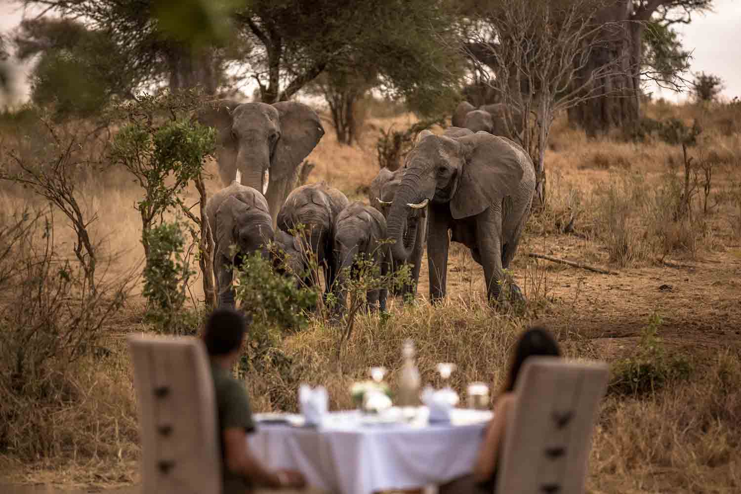 Dine in style with Nimali