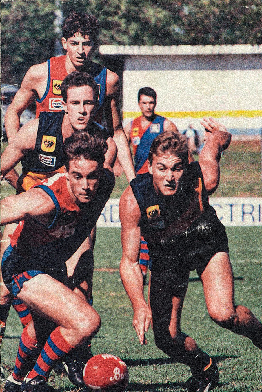 Bamboozled! Big Footy Quiz - NOM NOM Food & Wine Festival