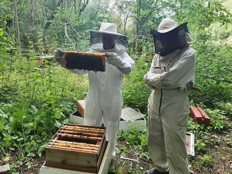 Smart Beehive Monitoring System - Made in Britain