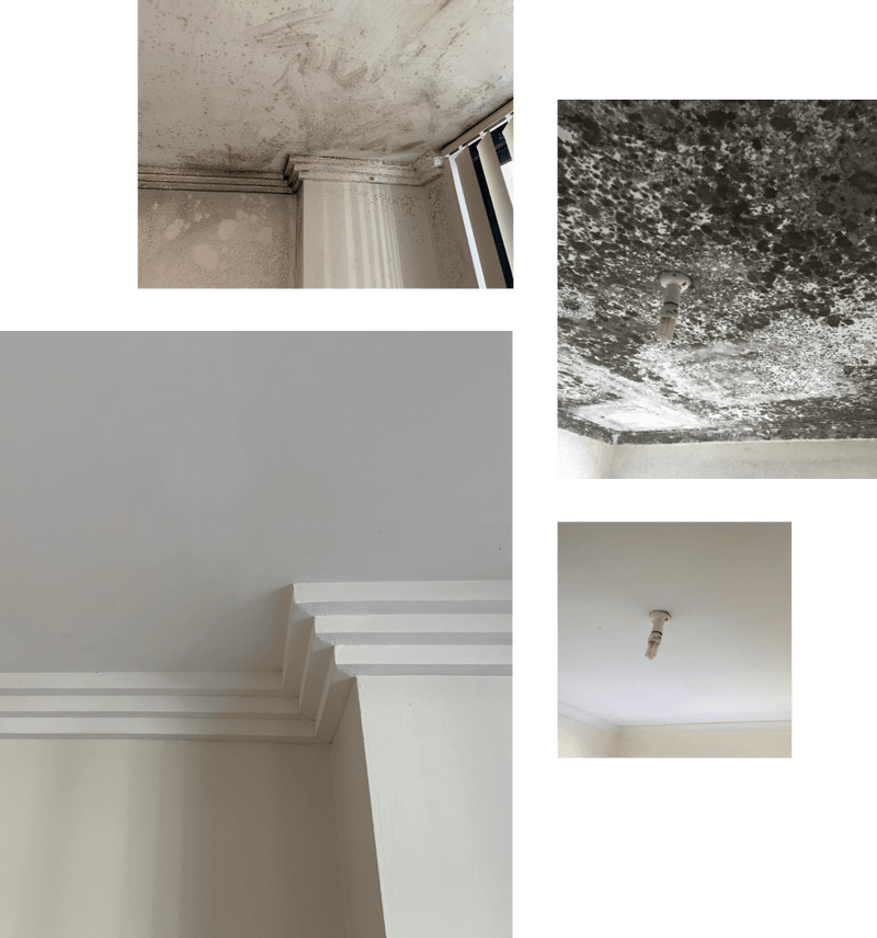 Mould Cleaning Australia - Your Local Mould Removal Experts