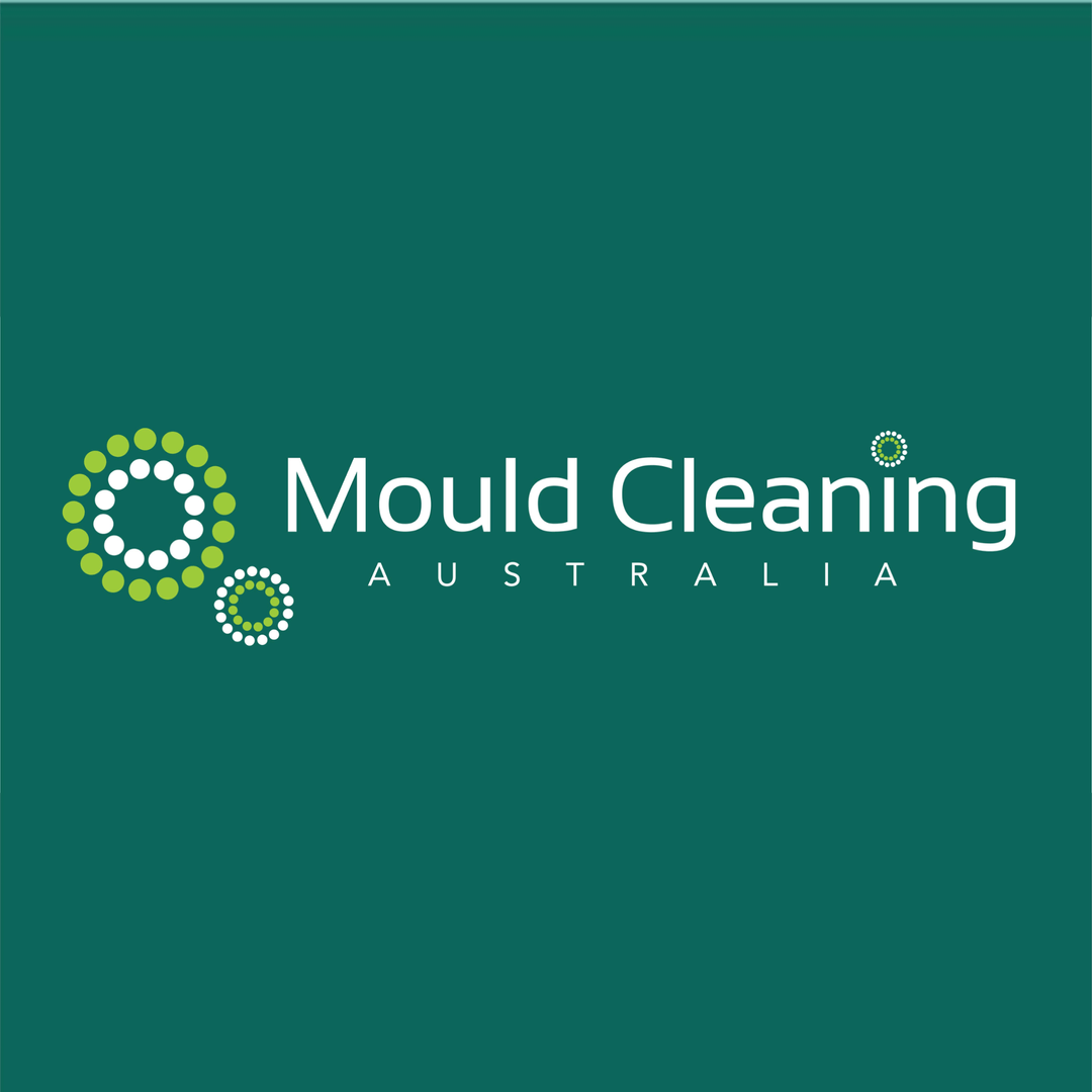 The Mold vs. Mould Conundrum: Origins, Spellings, and Implications