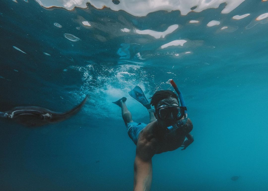 Diving The Philippines & Apo Island | Bongo Bongo Divers