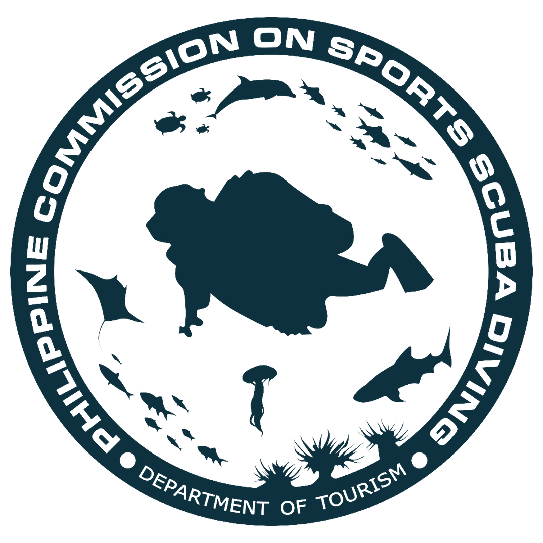 Diving The Philippines & Apo Island | Bongo Bongo Divers