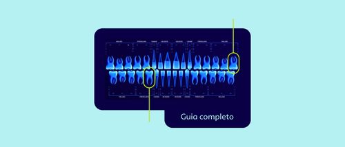 Como preencher um odontograma corretamente