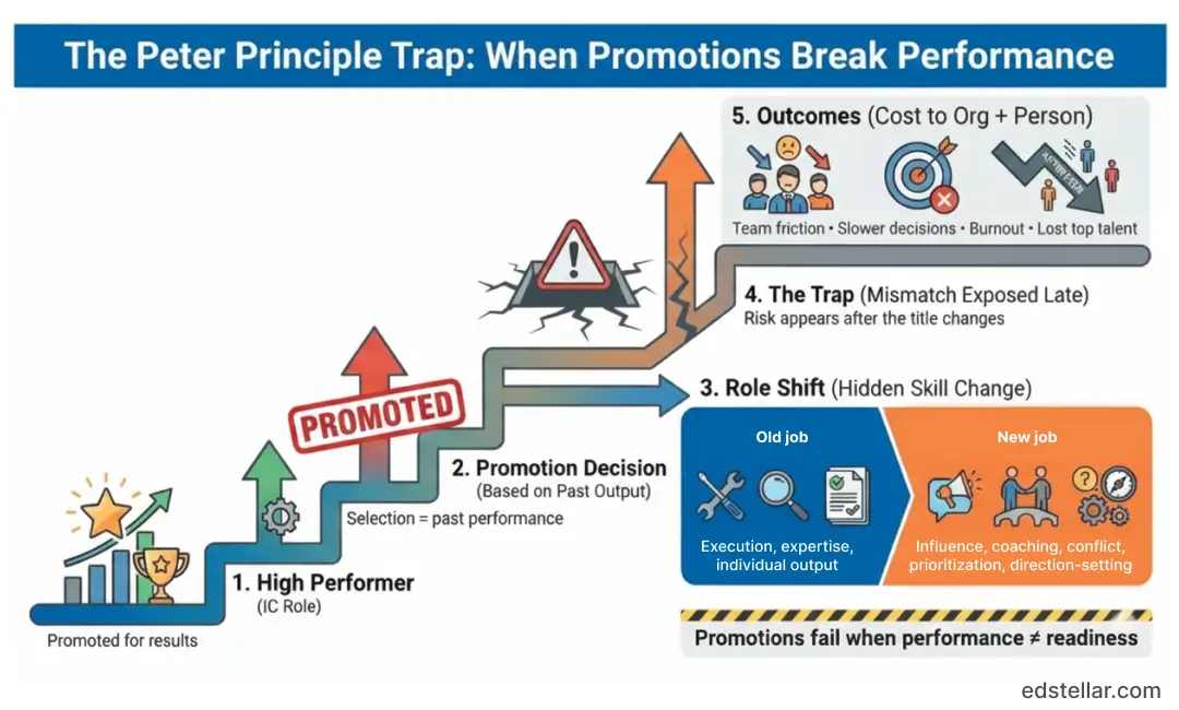 What is Peter Principle? 7 Steps to Prevent Promotion Failure