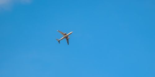 How can I bring my loved one's ashes overseas? - Bare