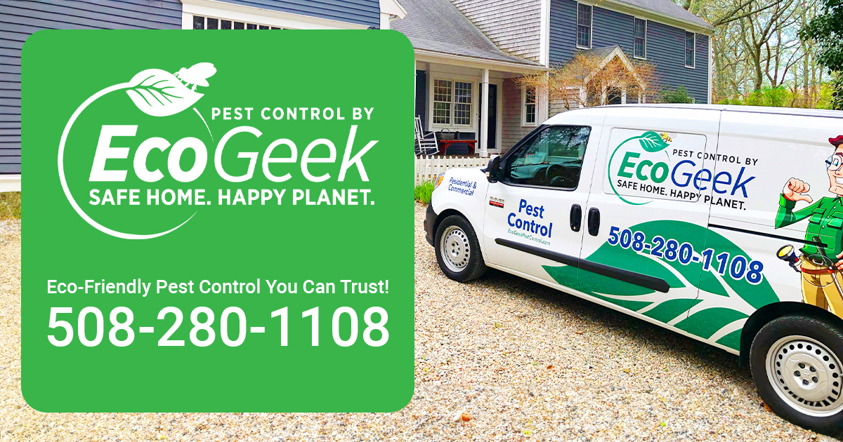 EcoGeek Pest Control in Cape Cod, MA | Local Company You Can Rely On ...