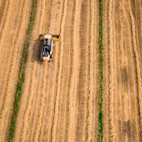 Soil Benchmark | Soil Management Plans for SFI