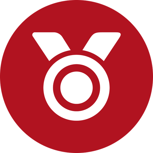 International Undergraduate - Accelerator