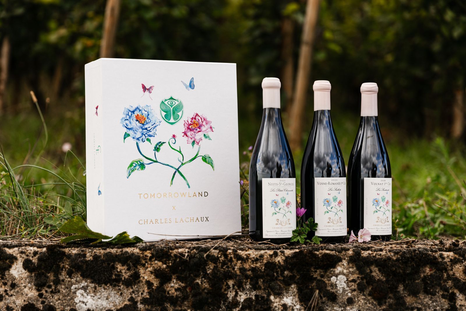 Tomorrowland Foundation Dev